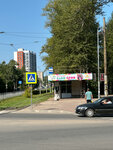 Курсантский бульвар (Vologda Region, Cherepovets, Komsomolskaya ulitsa), toplu taşıma durağı  Cherepovets'ten