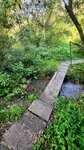 Spring, stream (Moscow, Baryshikha River), pınar, çay  Moskova'dan