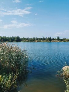 Пляж (St. Petersburg, posyolok Lisiy Nos), plaj  Saint‑Petersburg'dan