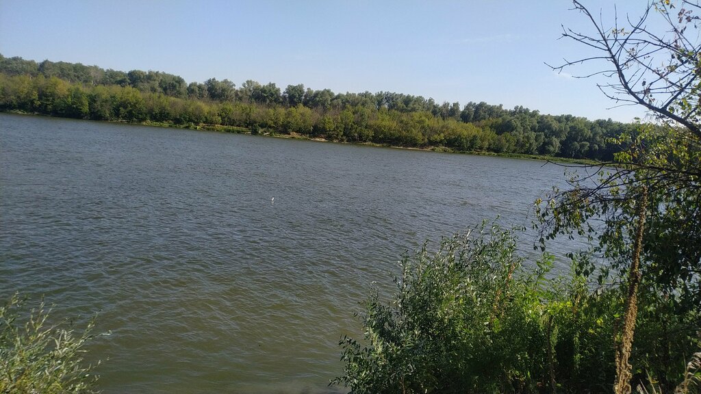Piknik alanı Место для пикника, Rostovskaya oblastı, foto