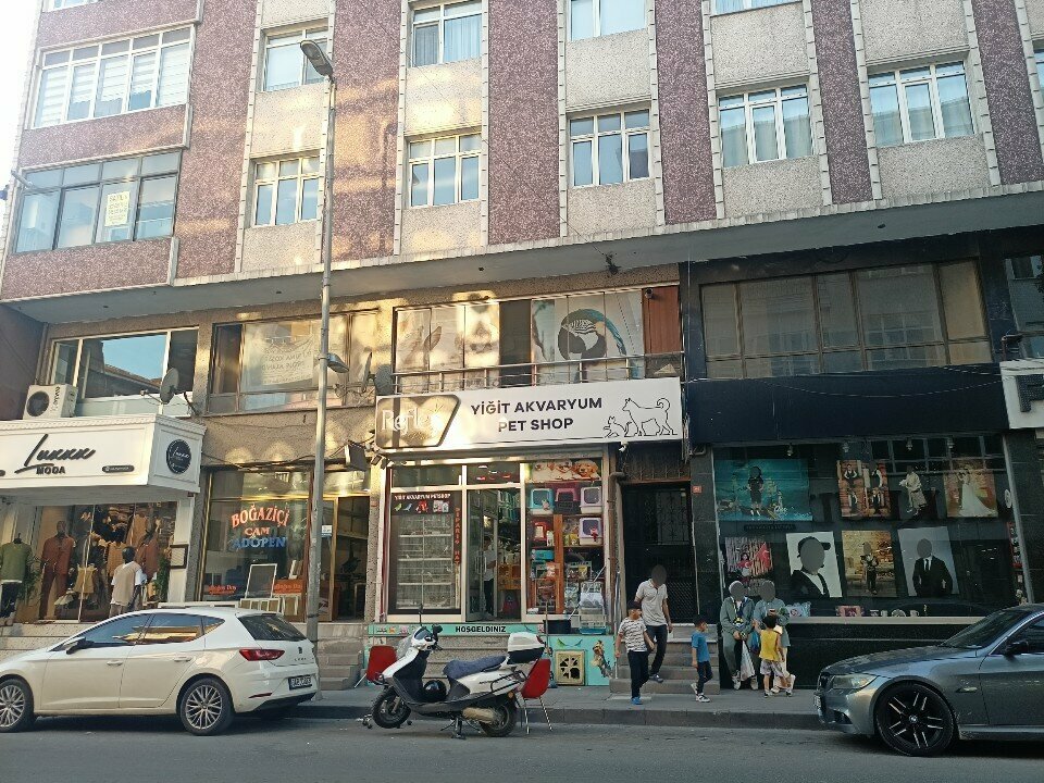 Petshop Yiğit Akvaryum & Pet Shop, İstanbul, foto