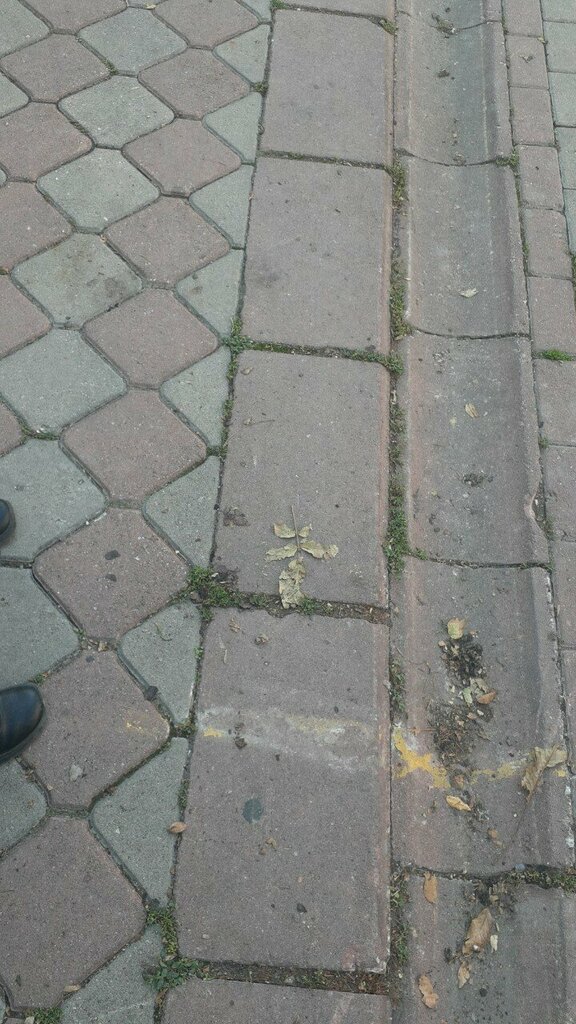 Berberler Neco Erkek Kuaförü, Ankara, foto