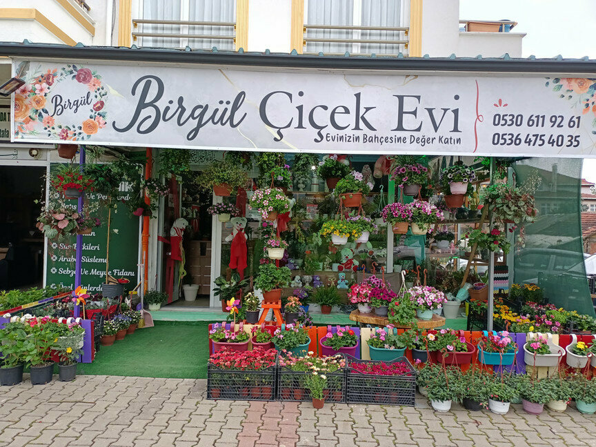 Çiçekçiler Birgül Botanik, Kartepe, foto