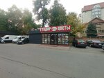 Ficus tree (Bishkek, Ashyrbai Koyonkozov Street), çiçekçiler  Bişkek'ten