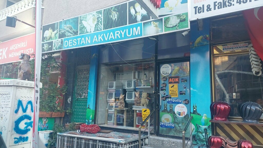 Petshop Destan Akvaryum Pet Market, Bursa, foto