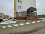 Градин (Moskovskiy prospekt No:4), çocuk gelişim merkezleri  Oktiabrski'den