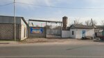 YuzKazAsiaImpex (Shymkent, Isataı Taımanuly kóshesi), un ve tahıllar  Çimkent'ten (Şımkent'ten)