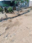 Nocal (Luanda, Rua da Pracinha), resim, tablo ve çerçeve mağazaları  Loanda'dan