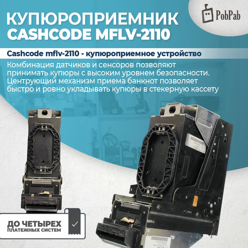 Müzeler ve sanat galerileri PopPab, Kaliningradskaya oblastı, foto