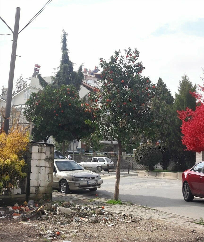 Kültür ve eğlence parkları Şehit İsmail Kocabaş Parkı, Efeler, foto