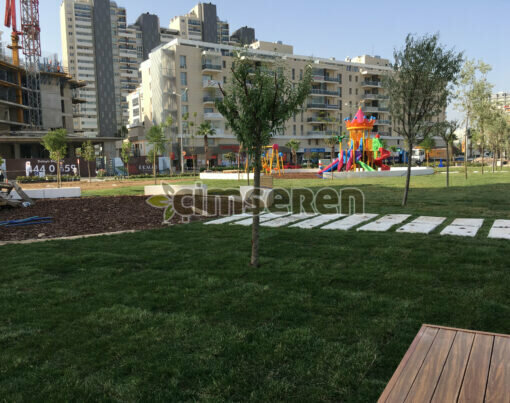 Endüstriyel mineraller Hazır Çim - Rulo Çim Çimseren, Torbalı, foto