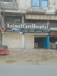 Animal care hospital (Province of Sindh, Karachi, Gulistan-e-Johar, Block 1), veteriner klinikleri  Karaçi'den