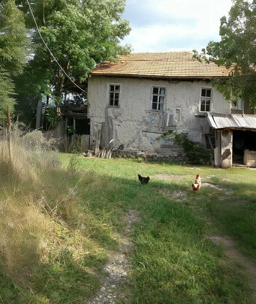 Muhtarlıklar Pelitören Köy Muhtarlığı, Araç, foto