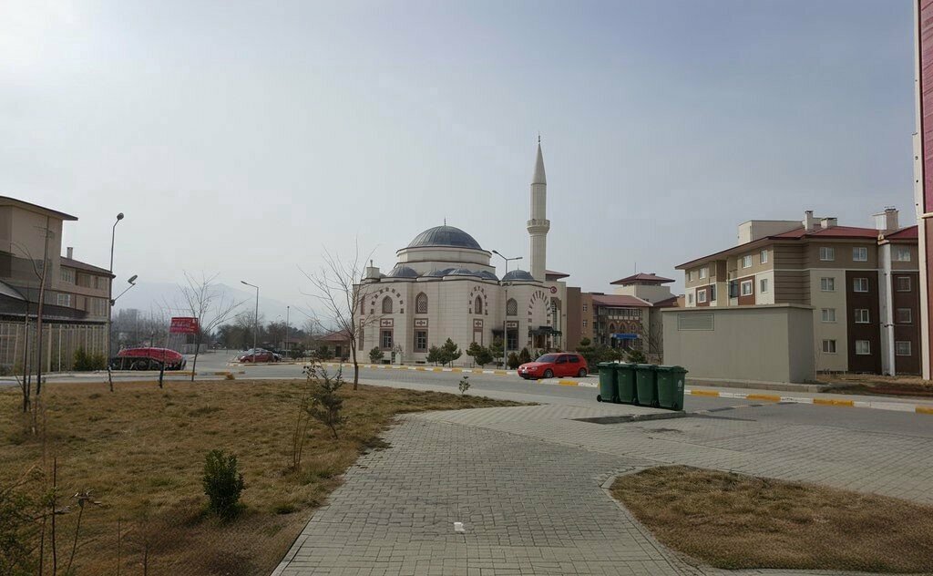 Cami Taksim Mahallesi Camii, Erzincan, foto
