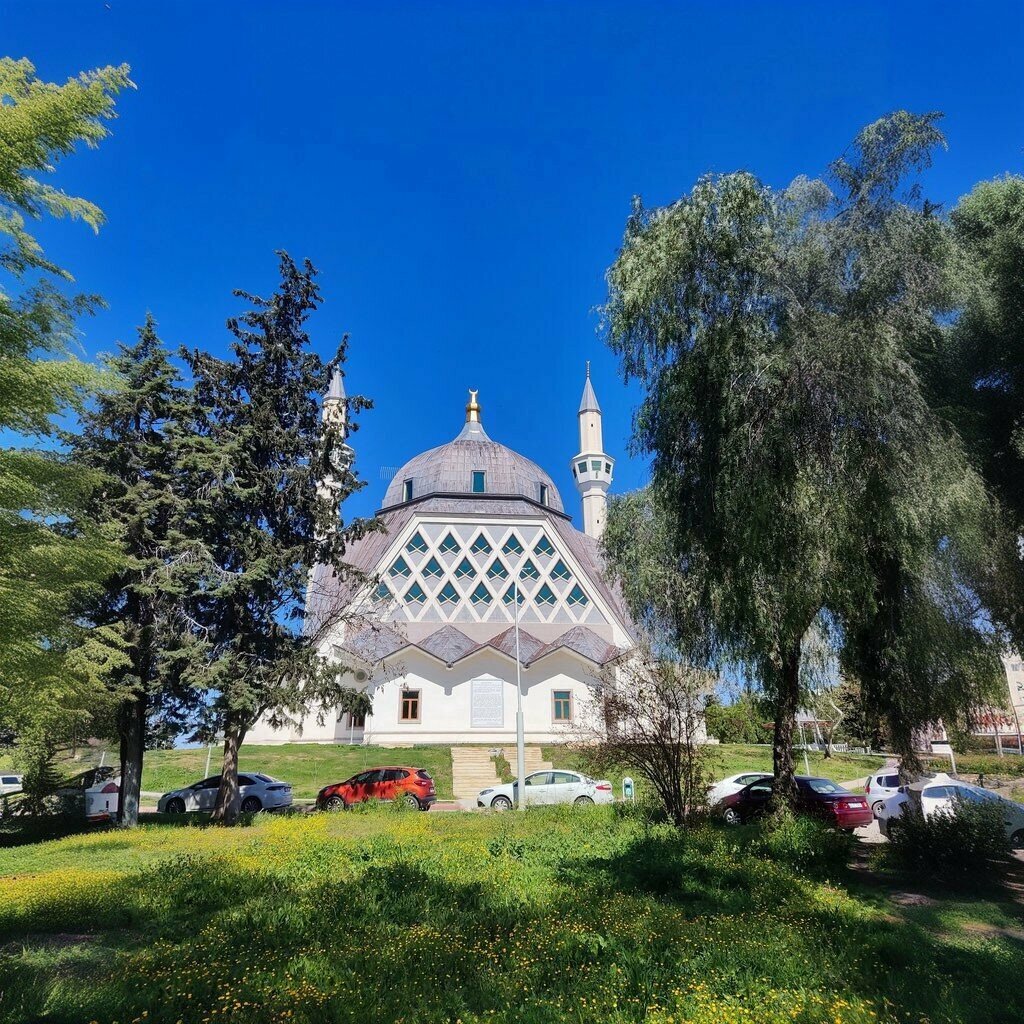 Cami 57 Alay Şehitleri Camii, Adana, foto