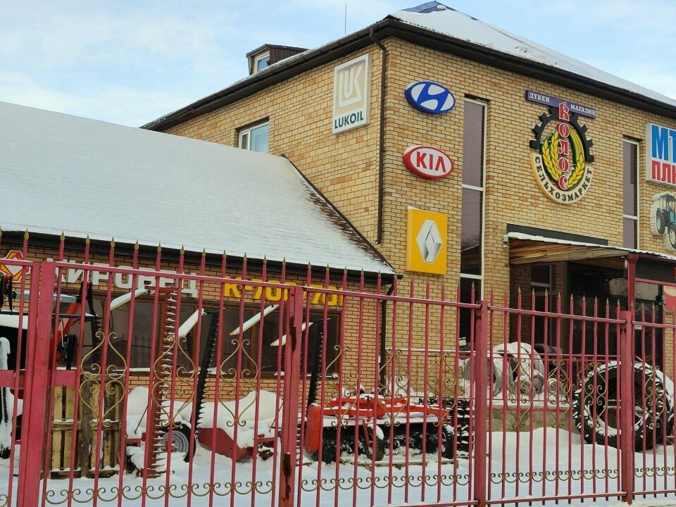 Otomobil yedek parçaları Pro Zapchasti, Karağandı, foto