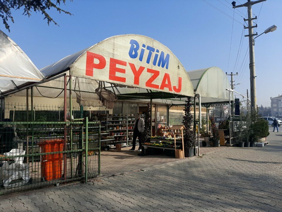 Sera ve bahçe ürünleri Bitim Peyzaj Selçuklu, Konya, foto