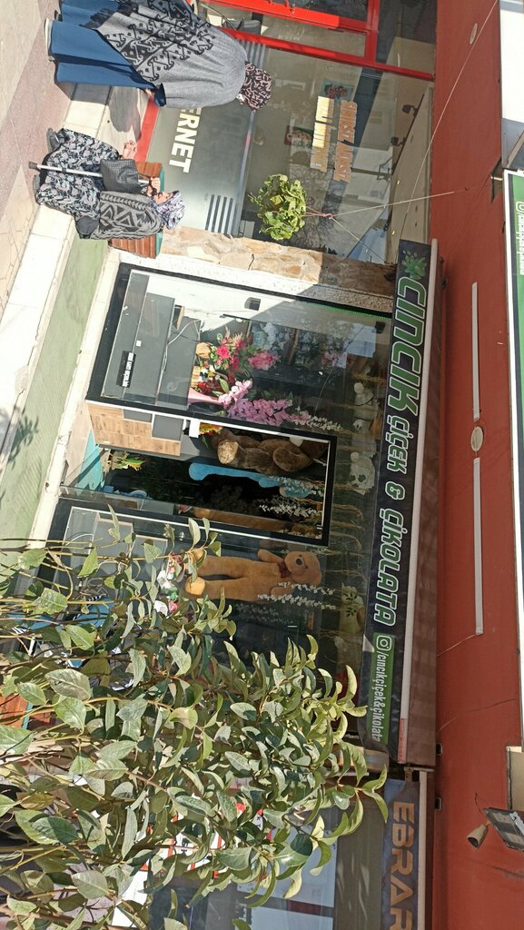 Çiçekçiler Cıncık Çicek, Gaziantep, foto
