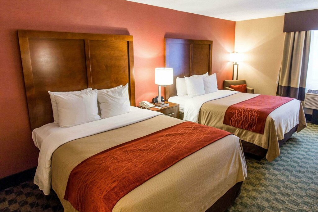 Otel Comfort Inn & Suites Jackson, Michigan Eyaleti, foto