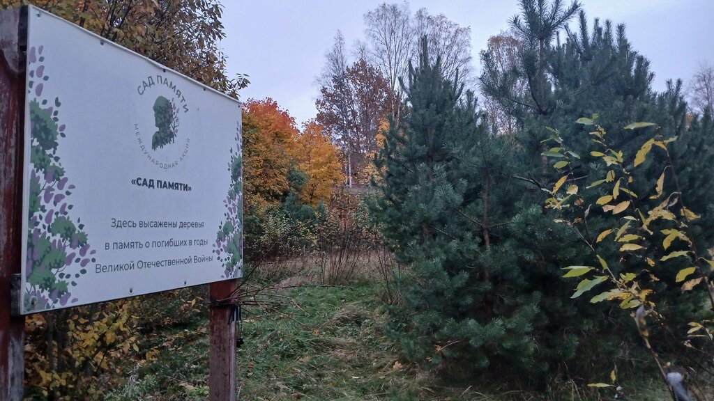 Kültür ve eğlence parkları сквер 70-летия Победы в Великой Отечественной войне, Saint‑Petersburg ve Leningradskaya oblastı, foto