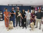 Pet İstanbul Veteriner (Kayseri, Kocasinan, 18. Cad.), veteriner klinikleri  Kayseri'den