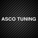 Asco Tuning (1st Silikatny Drive No:14), detaylı oto bakımı  Moskova'dan