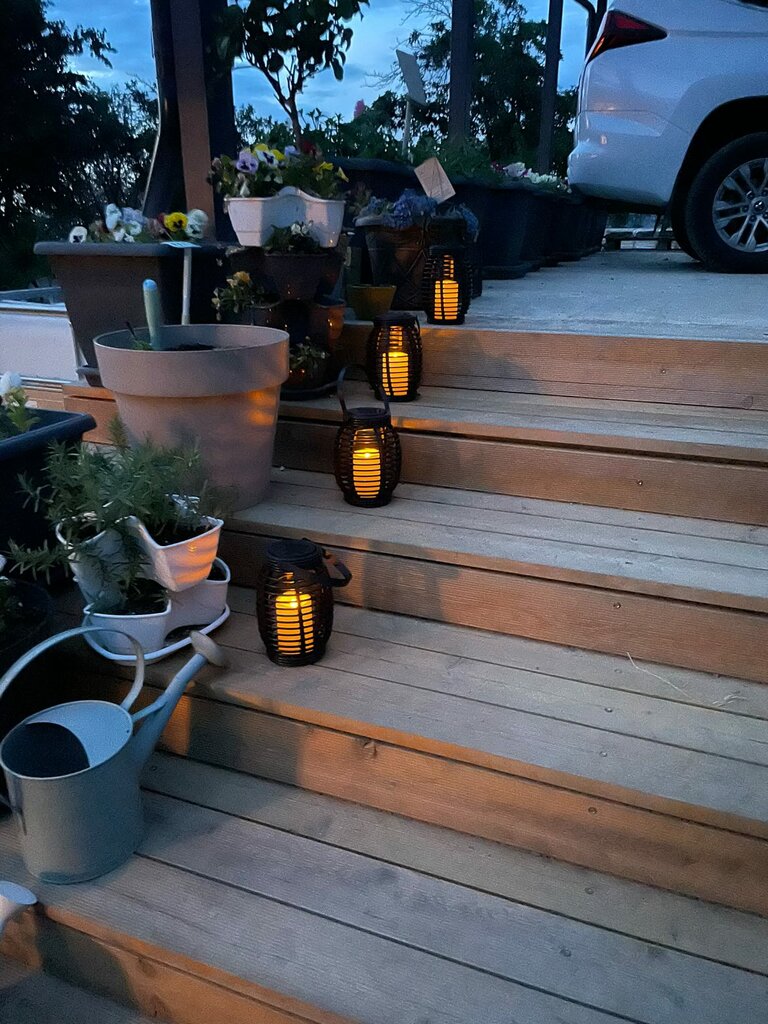 Ev eşyası mağazaları Home & Garden, Almatı, foto