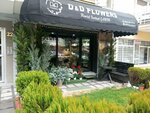D&d Flowers (Ankara, Çankaya, Çankaya Mah., Üsküp Cad., 22), çiçekçiler  Ankara'dan