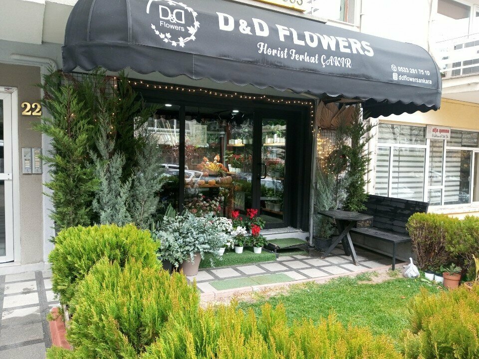 Çiçekçiler D&d Flowers, Ankara, foto
