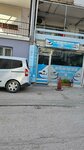 Sönmez Oto Kiralama (Adana, Seyhan, Sümer Mah., 69061. Sok., 2C), oto kiralama  Adana'dan
