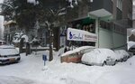 İstanbul Veteriner Kliniği (Mimarsinan Mah., 30. Sok., Atakum, Samsun), veteriner klinikleri  Atakum'dan