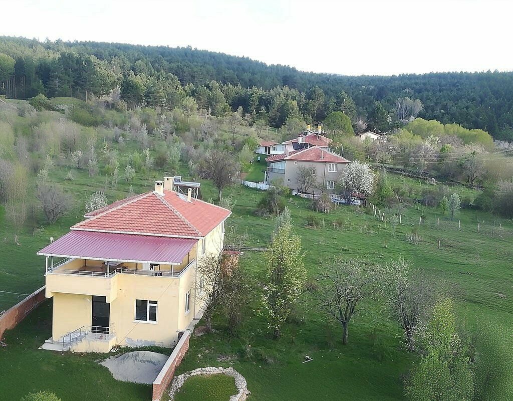 Muhtarlıklar Düzkaraağaç Köy Muhtarlığı, Boyabat, foto