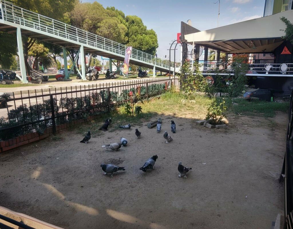 Berberler Süslen Kuaför Salonu, Manisa, foto