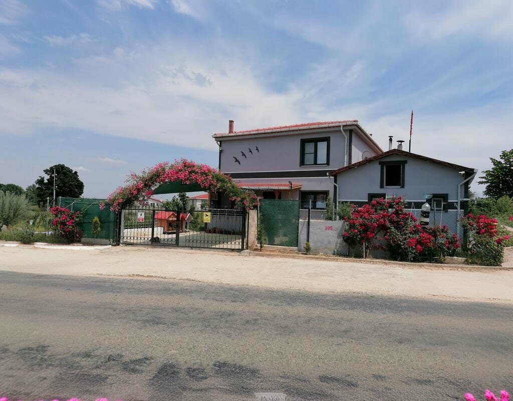 Cami Yayla Köyü Cami, Keşan, foto