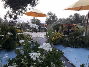 Terrace Butik Kahvaltı (Balıkesir, Burhaniye, Taylıeli Mah.), restoran  Burhaniye'den