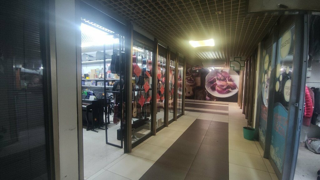 Enstrüman mağazaları MusicStop, Belgrad, foto