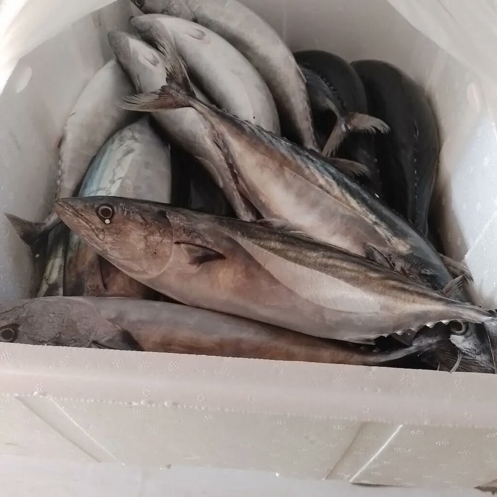 Fast food Yıkıntı Mangal, İstanbul, foto