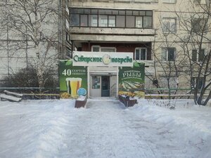 Сибирские Погреба (No:52, mikrorayon Pervomayskiy), bira dükkanı  Irkutsk'tan