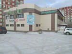 Bushido (No:27А, 8-y mikrorayon), spor kulüpleri  Temirtav'dan