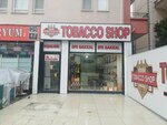 Efe Tobacco Shop (Ankara, Sincan, Peçenek Cad., 50), tütün, sigara mağazaları  Ankara'dan