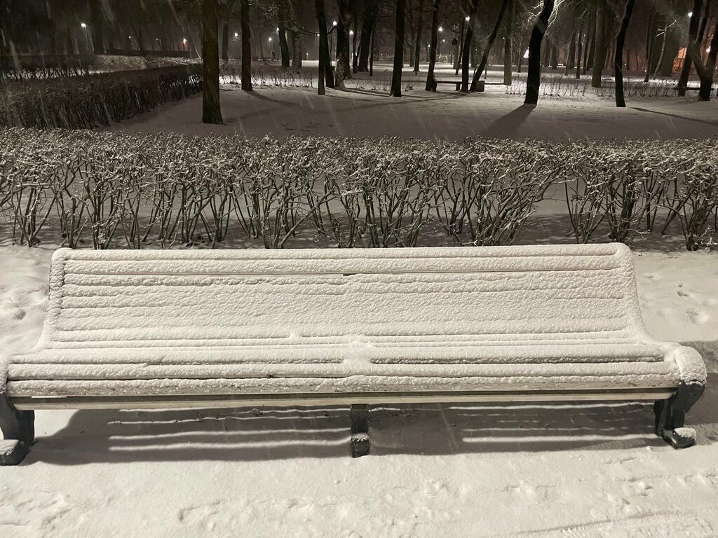 Bank Bench, Krasnoye Selo, foto