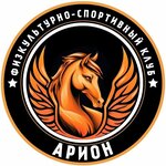 Арион (Khristinovskiy prospekt No:55), spor kulüpleri  Vsevolgsk'tan