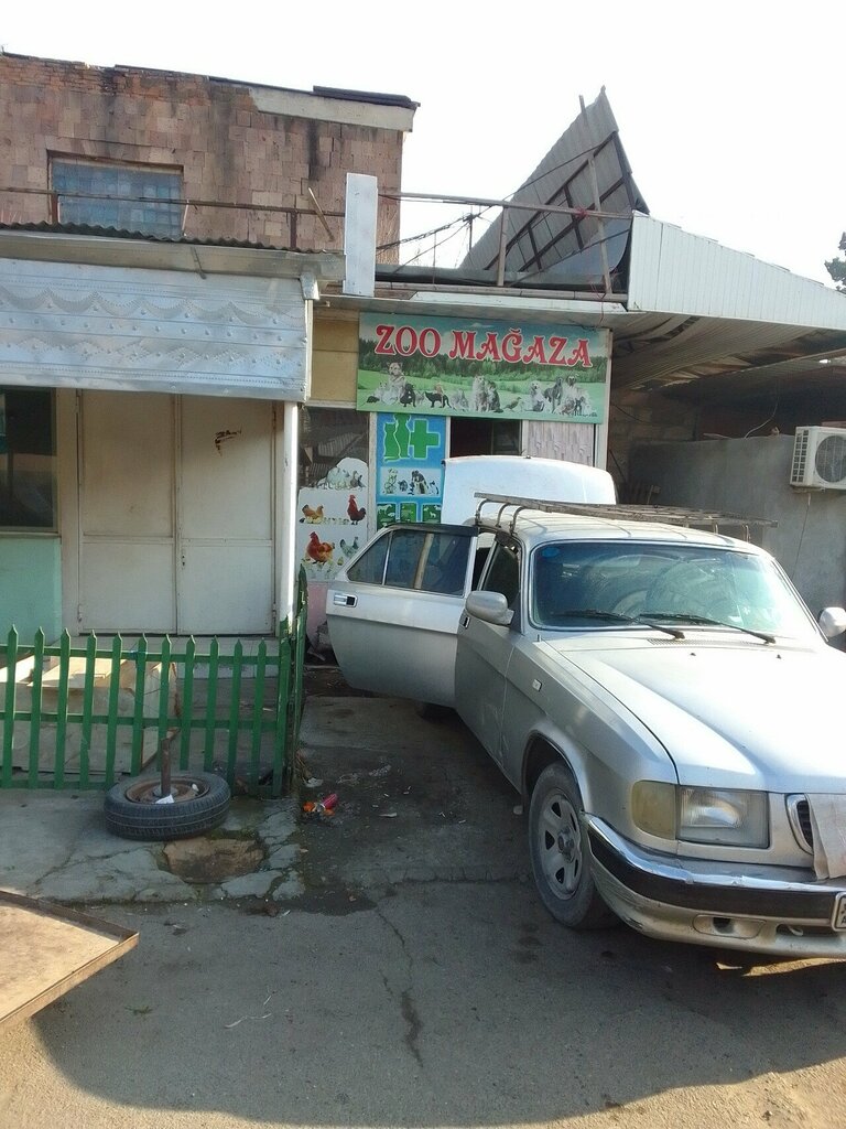 Petshop Zoo mağaza, Mingeçevir, foto