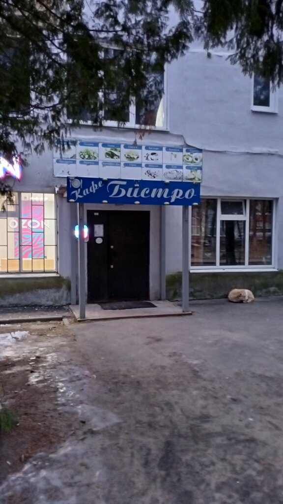 Kafe Бистро, Vladimirskaya oblastı, foto