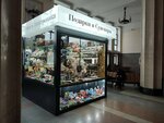 Магазин игрушек, электроники и сувениров (Dmitria Shamshurina Street No:43), hediyelik eşya mağazaları  Novosibirsk'ten