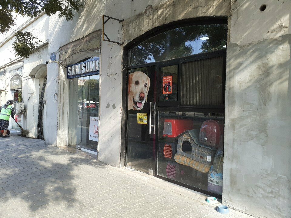 Petshop Zoo, Bakü, foto