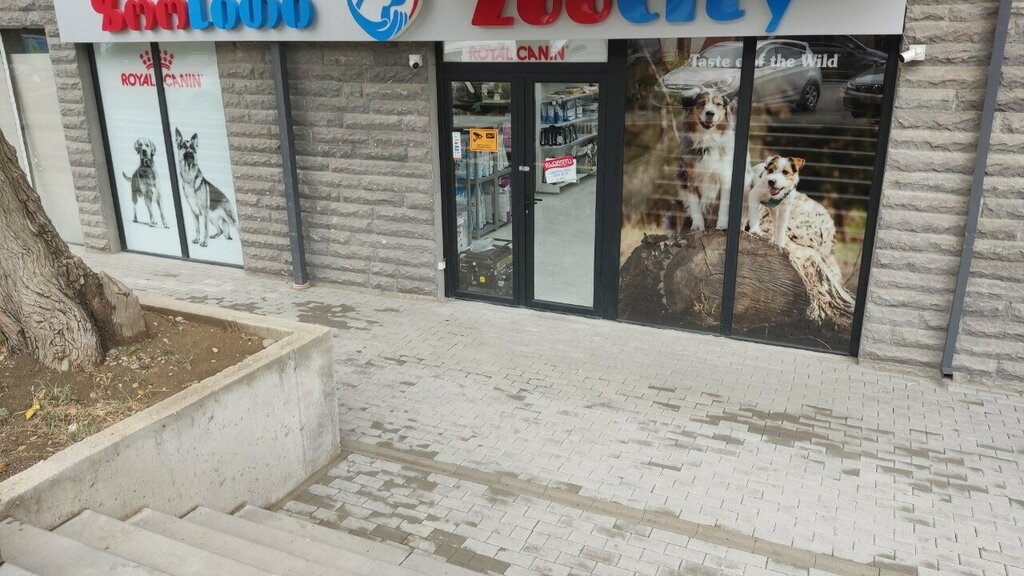 Petshop Zoocity, Tiflis, foto