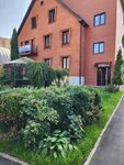 Детское Пространство (ulitsa Turgeneva No:9, rabochiy posyolok Oktyabrskiy), kurs  Moskova ve Moskovskaya oblastından