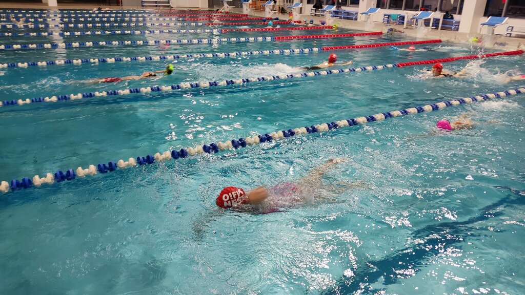 Yüzme okulu Shark Kick, Moskova, foto