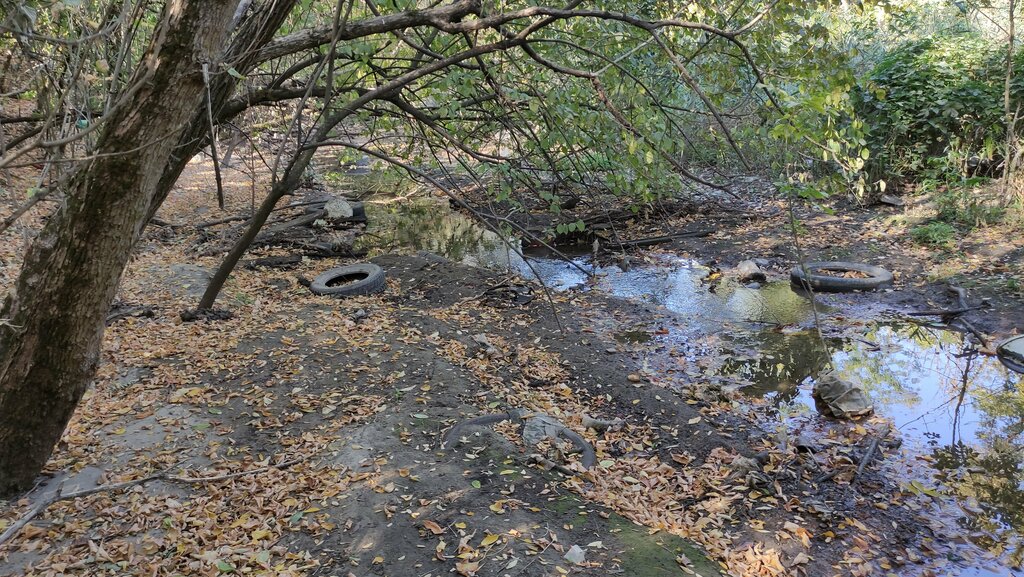 Pınar, çay Spring, stream, Rostov‑na‑Donu, foto